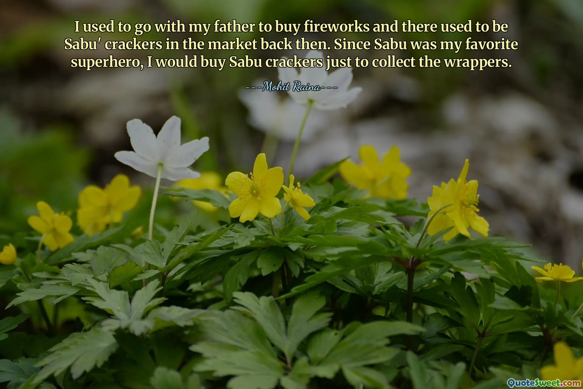 I used to go with my father to buy fireworks and there used | QuoteSweet