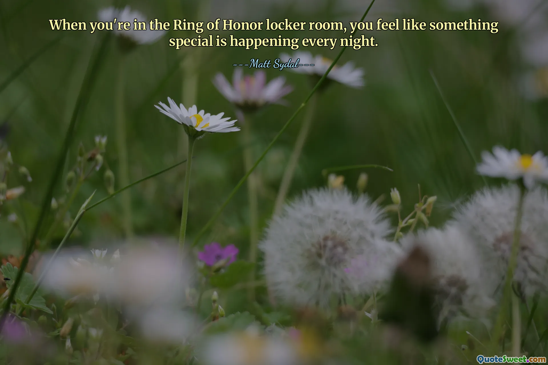 When you're in the Ring of Honor locker room, you feel like | QuoteSweet